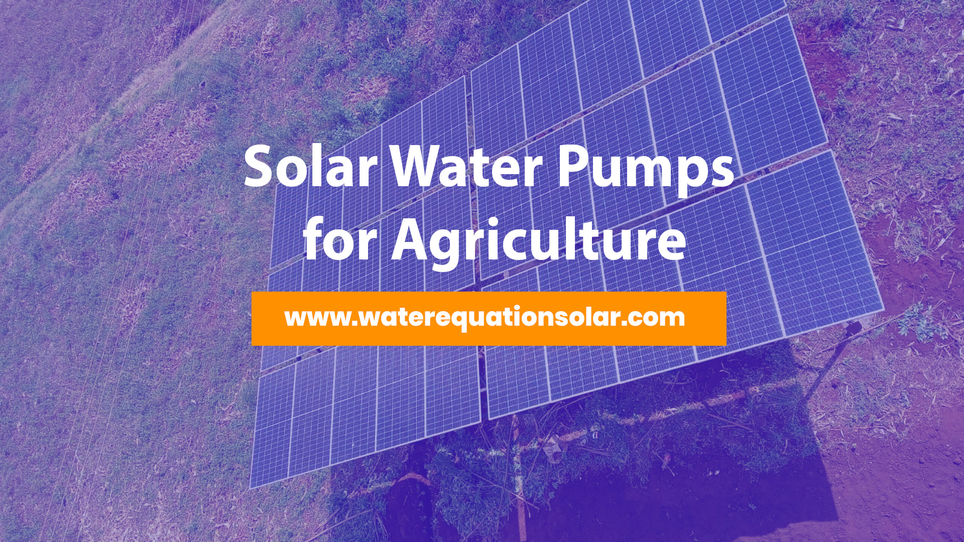Solar Water Pumps for Agriculture
