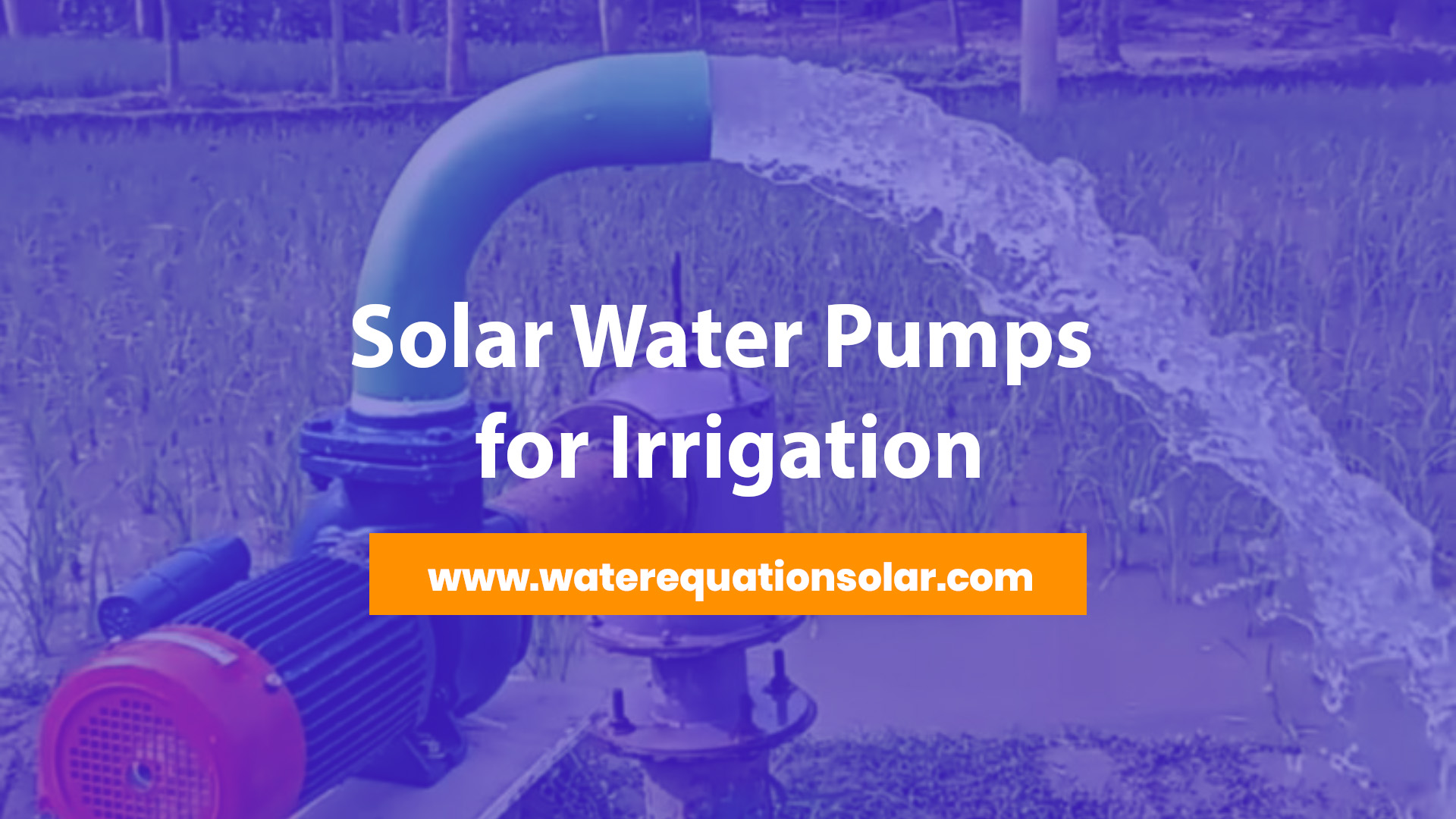 Solar Water Pumps for Irrigation
